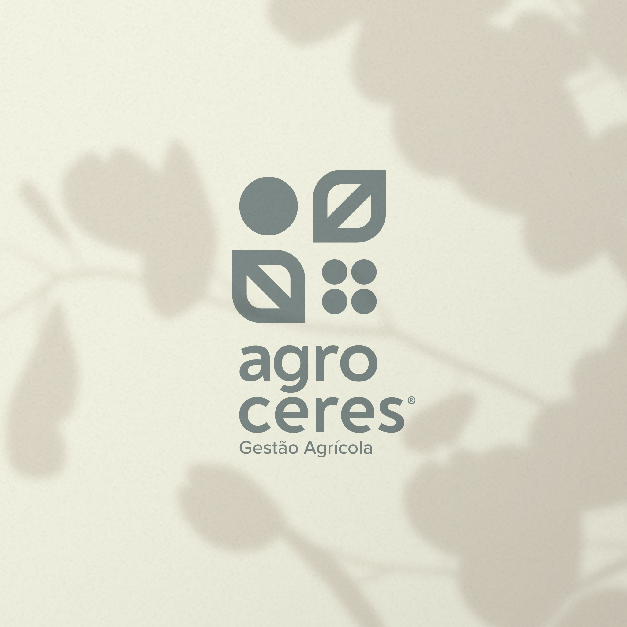 Visuals - Branding - Agroceres